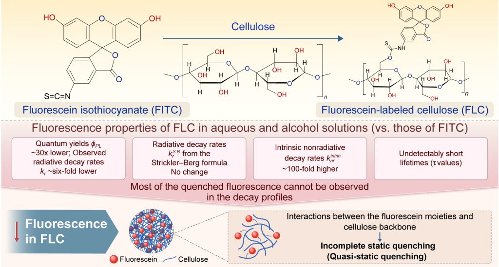 Optoelectronics Soft-Matter Lab